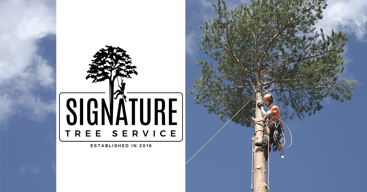 Enhance Your Landscape with Signature Tree Services - Signature Tree ...